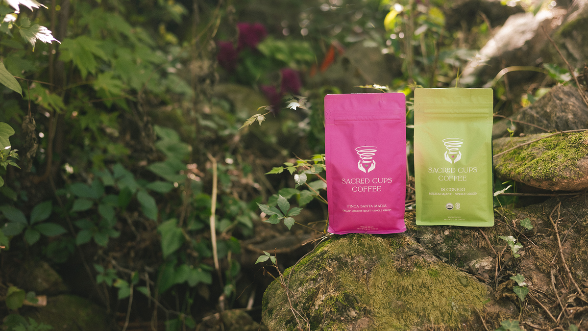 Organic Coffee | Shop High Antioxidant Coffee Online - Purity Coffee