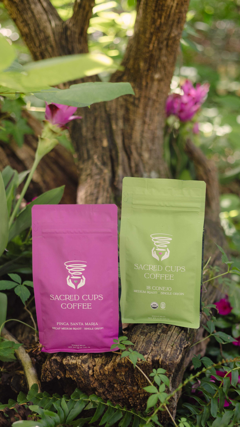 Organic Coffee | Shop High Antioxidant Coffee Online - Purity Coffee