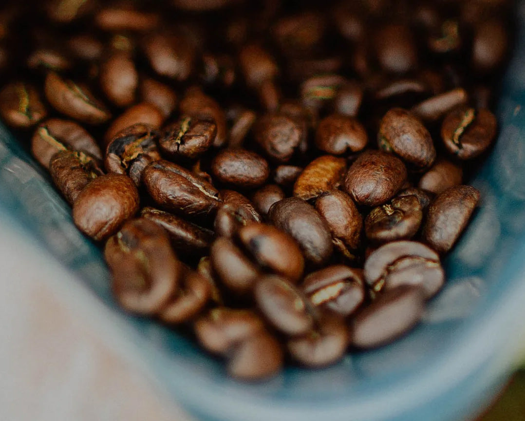 Earth Conscious Life – Purity Coffee